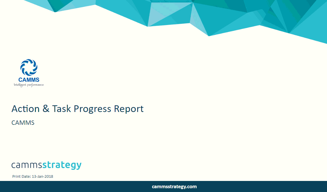 Action and Task Progress Report